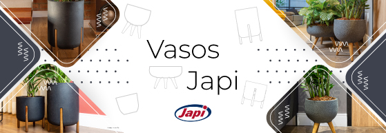 Vasos Japi | Astra